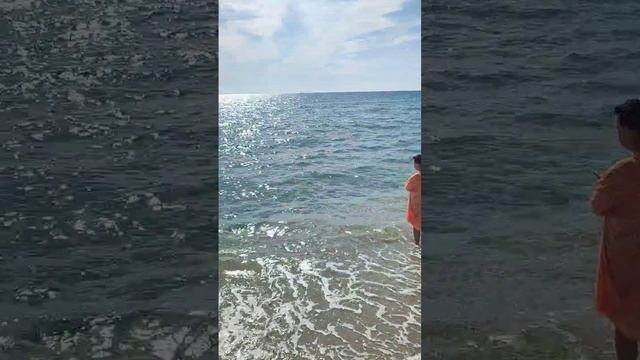 Беляус 26.09.2024