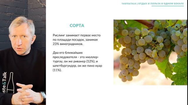 Другие Регионы И Сорта Германии