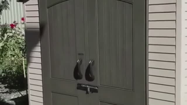 Хозблок LIFETIME пример установки пластикового сарая на участке нашего постоянного клиента