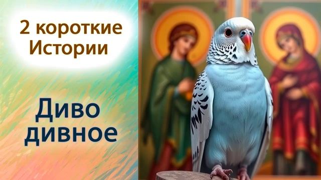 Диво дивное