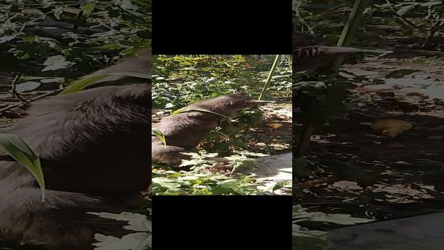 Сема любуется травой.