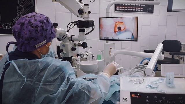 Миссия стоматолога. Мысли про апико от Козолий Екатерины.