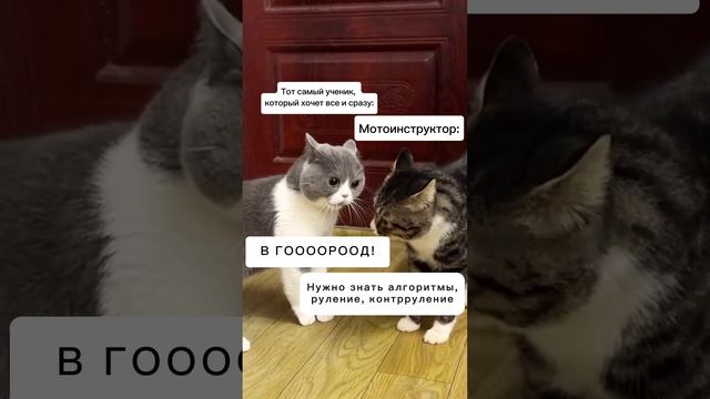 Хочу ехать в город!| Мотонаставник | Загаринский