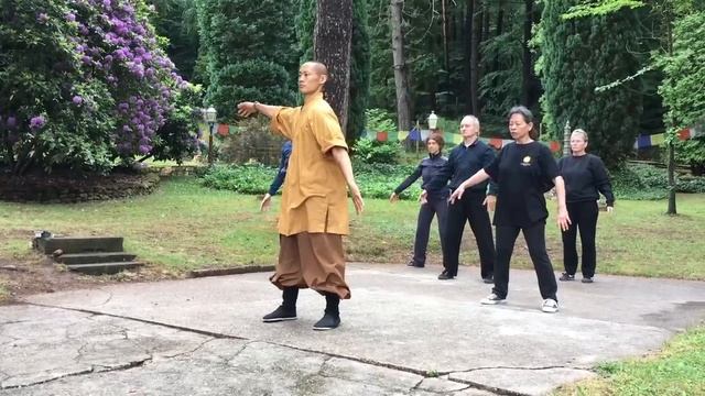 易筋經 · Yi Jin Jing (Muscle Tendon Change Classic) Qi Gong