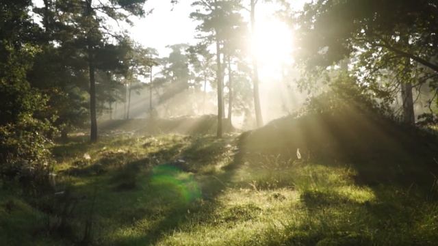 Медитация для начинающих - Урок 2. Как правильно медитировать в домашних условиях!