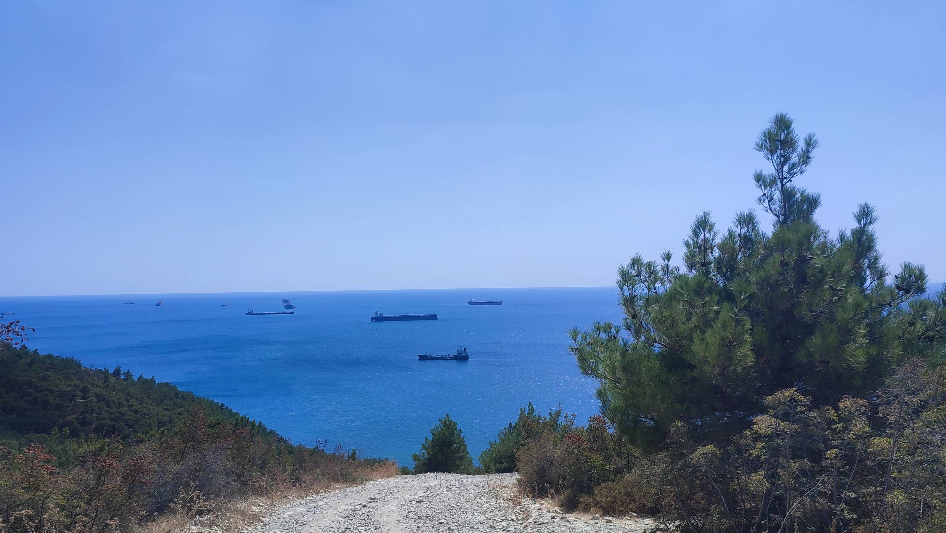 " Ъ ". п. Кабардинка. Сухогруз Рио.  ( Short Video 4K ). 2024