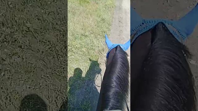 Лето. Отпуск.