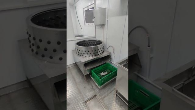 Универсальный модульный цех забоя птицы индейки и перепелов от компании Агропромресурс