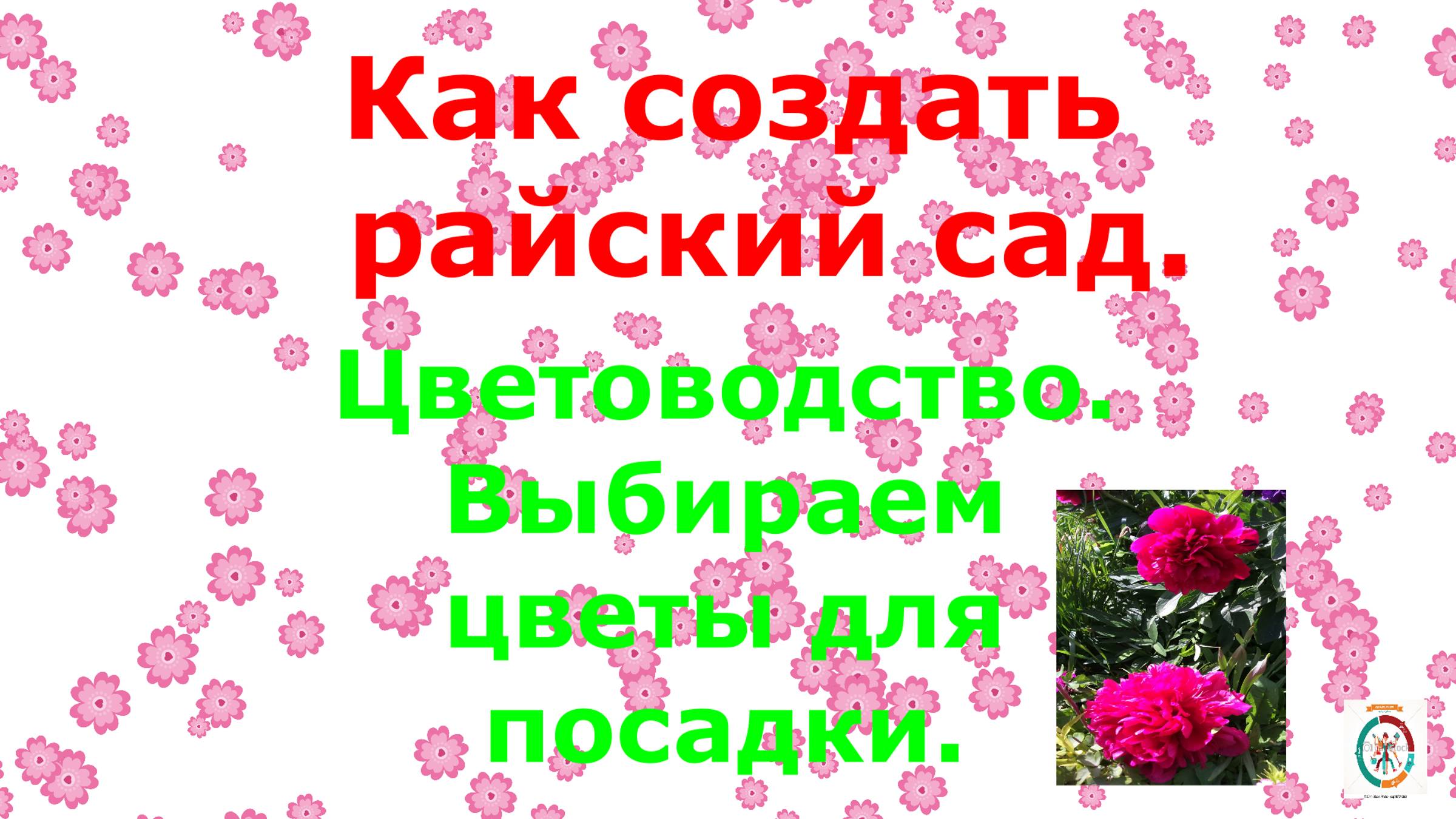 Про цветы для уральского сада.#топыкатегорий.