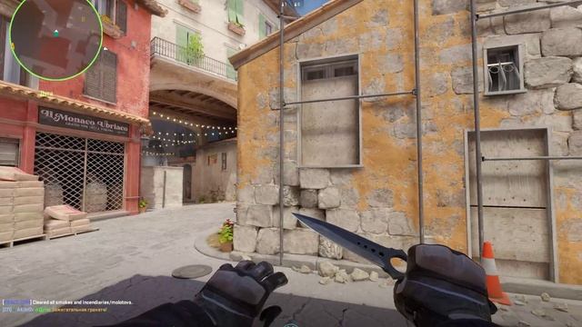 MOLLY CT Б почта на ходу