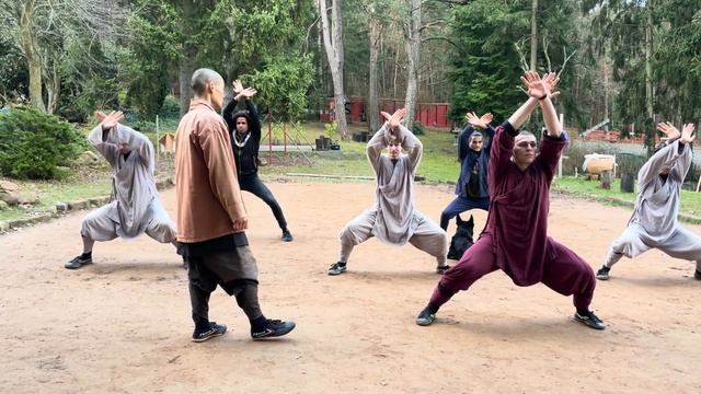 五步拳 · Wu Bu Quan (5 Stances Beginner Form _ 1. Section)