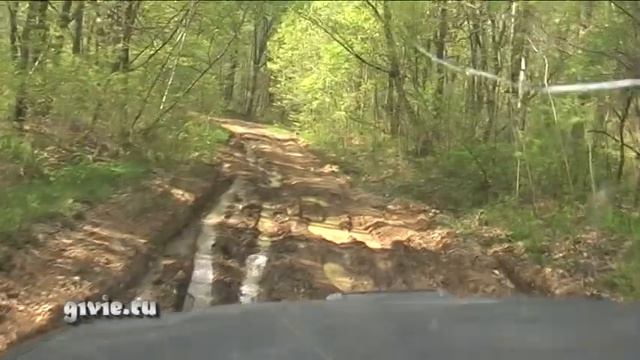 Уссури 2015 05 01 Покатушки по лесу на TLC Prado