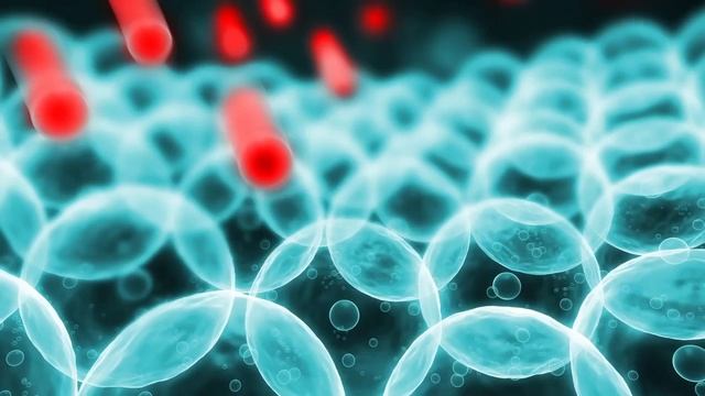 ПРЕОБРАЗОВАТЕЛЬ ″ЖИВОЙ ВОДЫ″ ОТ КОМПАНИИ LOCUS.
