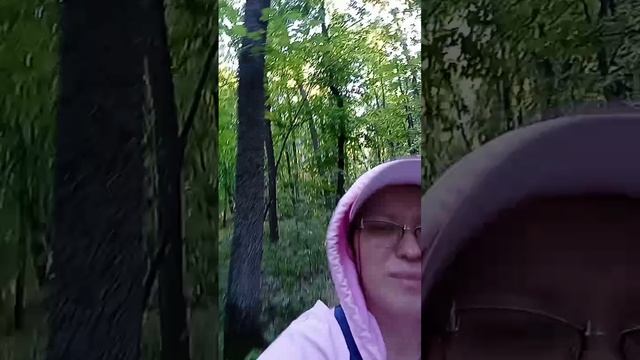 Верхом по лесу