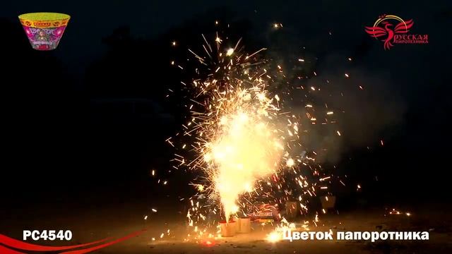 PC4540 Цветок папоротника