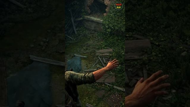 The Last of Us - Подруга Тэсс #thelastofus