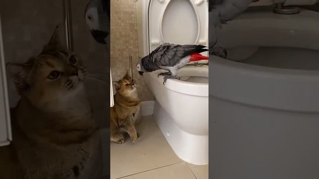 Ты быканул или мне показалось 🧐