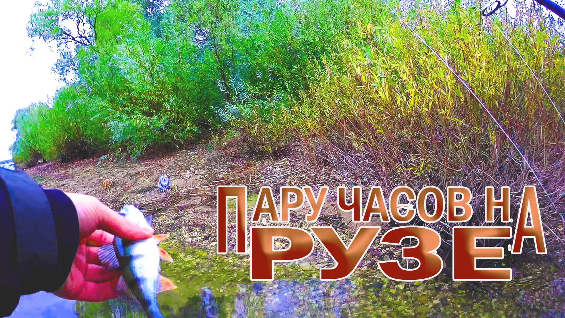 ПАРУ ЧАСОВ НА РЫБАЛКУ, ПОДМОСКОВНАЯ РУЗА, РЫБУ ПОЙМАЛ, ПОЛОСАТОГО НАКОРМИЛ