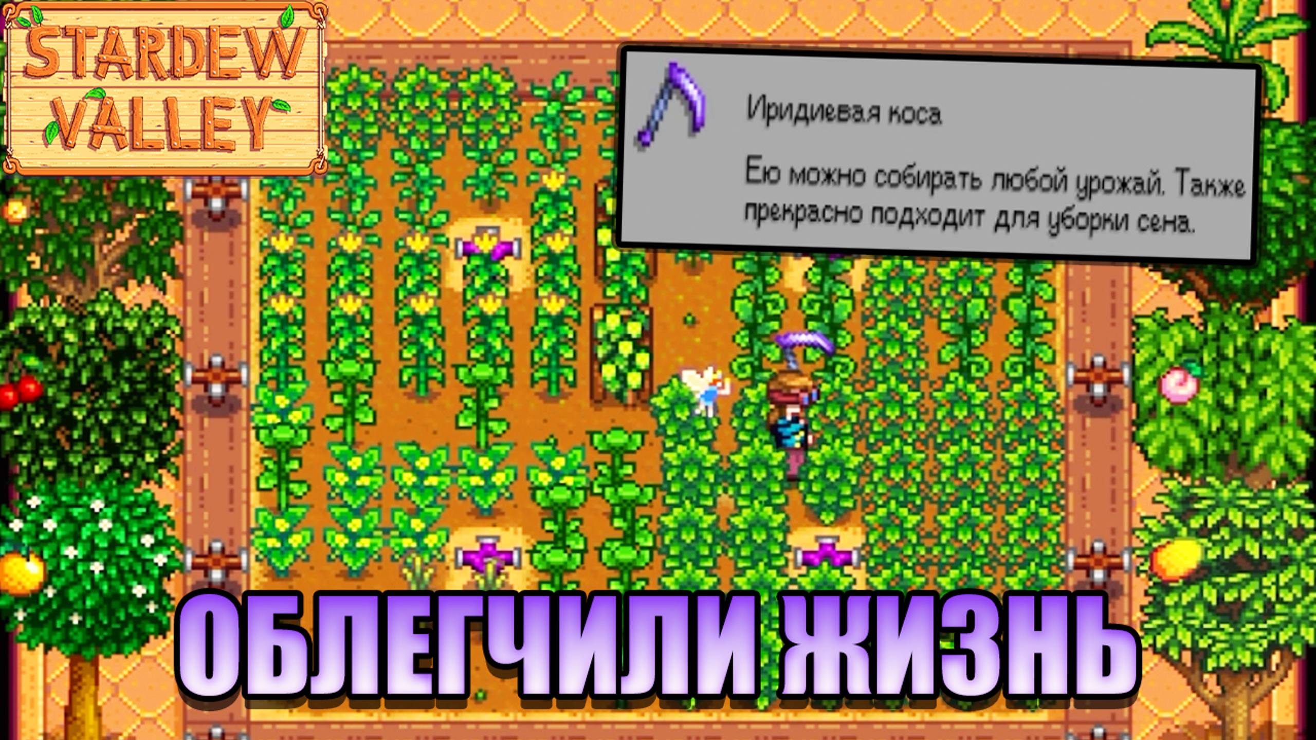 ОПТИМИЗАЦИЯ ЖИЗНИ! Stardew Valley, стрим 38, Жена Шейна (30.09.2024)