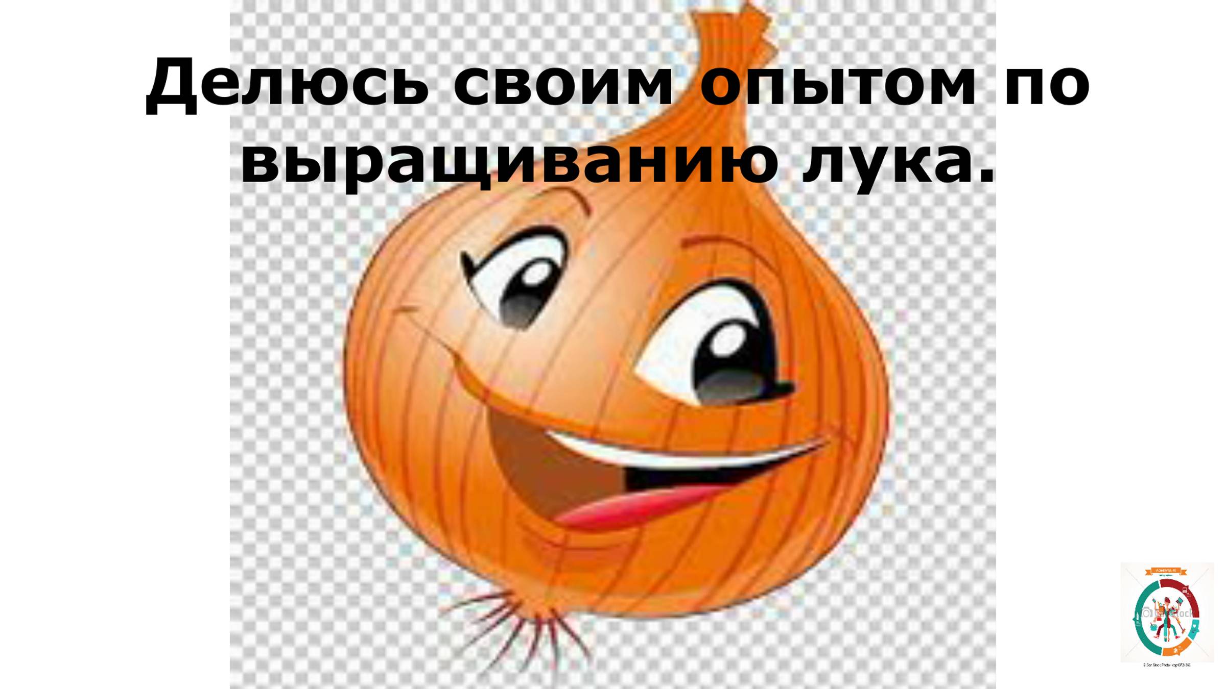 Как вырастить хороший лук на Урале. Делюсь своим опытом.