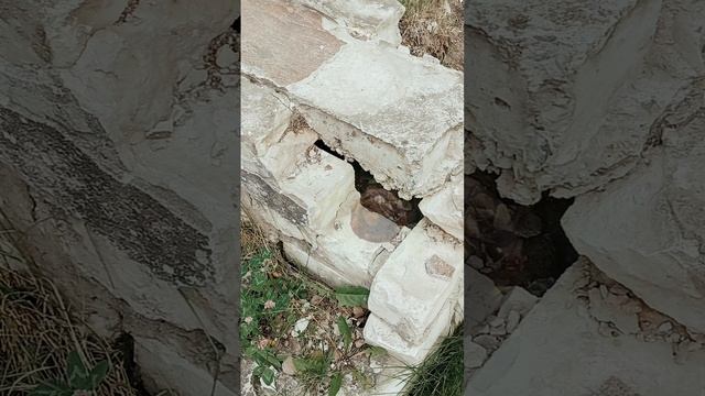 новые материалы по аномалие