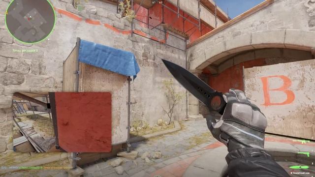 MOLLY CT Б на тачку