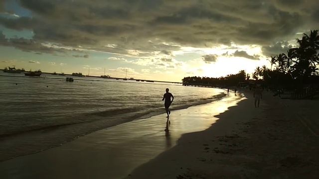 Радостный волк