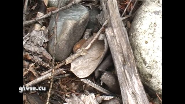 Поездка на р. Максимовка в 2009 году.