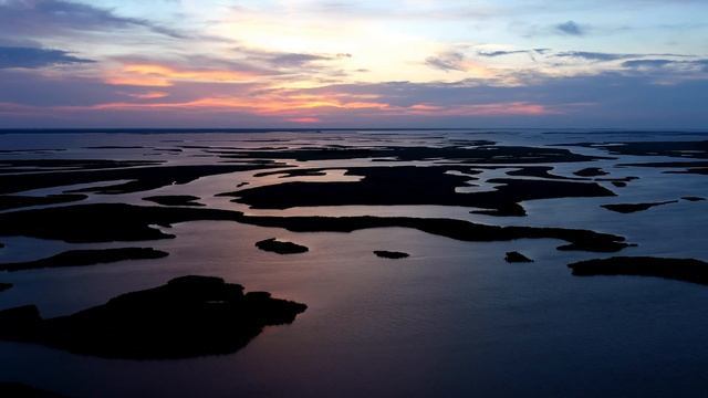 Магия утреннего леса: Звуки и виды для медитации.