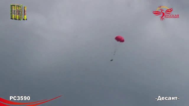 РС3590 Десант