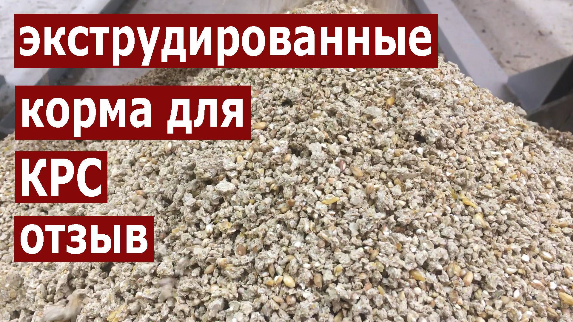 Отзыв об использовании экструдера Экспро М в производстве корма для КРС.