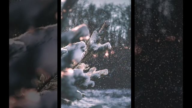 От Самайна до Йоля