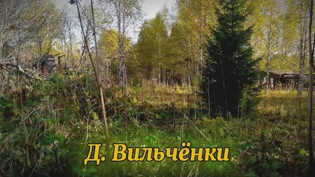 Деревня Вильчёнки.mp4