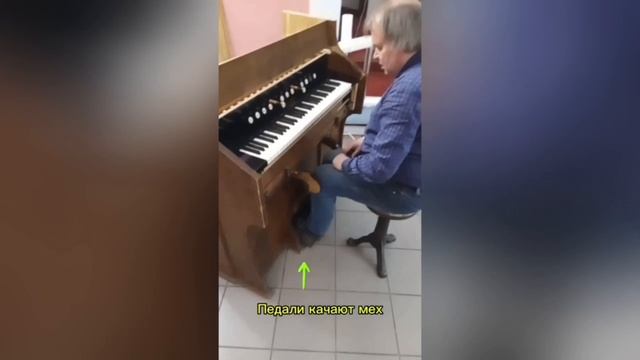 Фисгармония изнутри