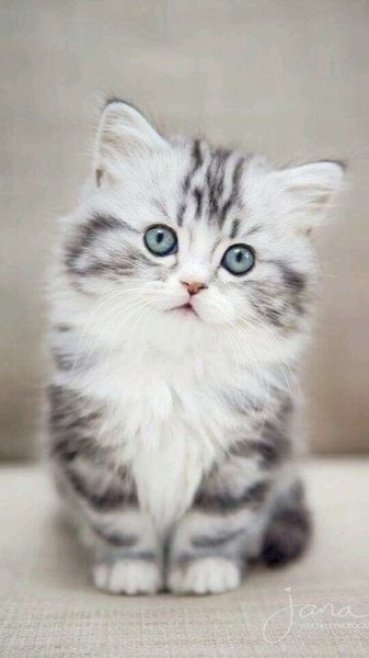 О границах в стихах.