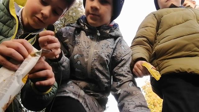 VID_20241001_153011.mp4