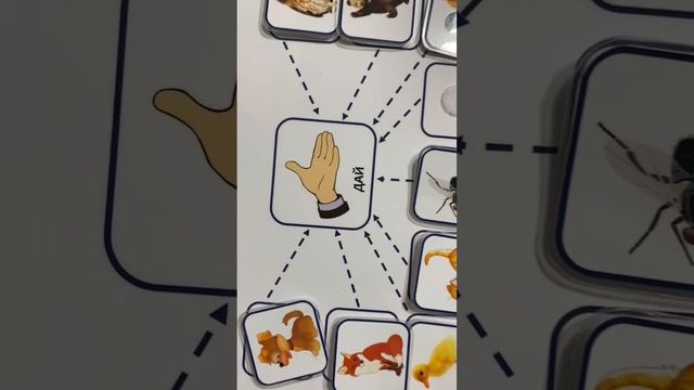 День 4 Ленино