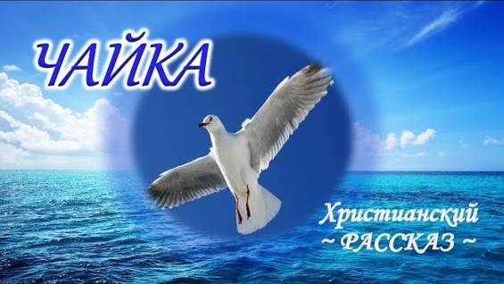📗 "Чайка" ~ СЛАЙДЫ | РАССКАЗ Христианский 🌼🟢 В МИРЕ ПРИРОДЫ ~ АУДИОРАССКАЗЫ