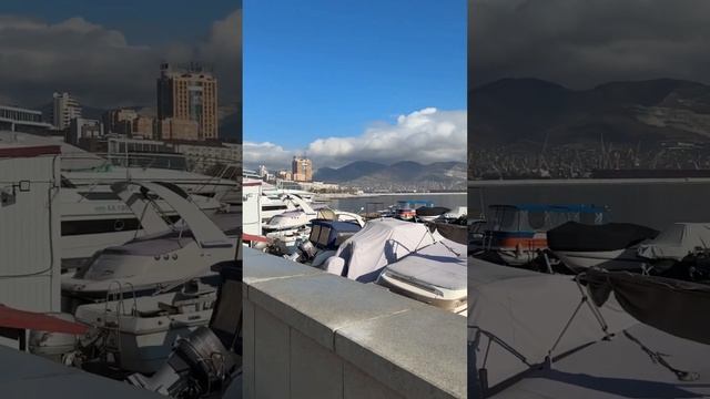 пленэр #oilpainting #живопись #pleinairpainting #pleinair