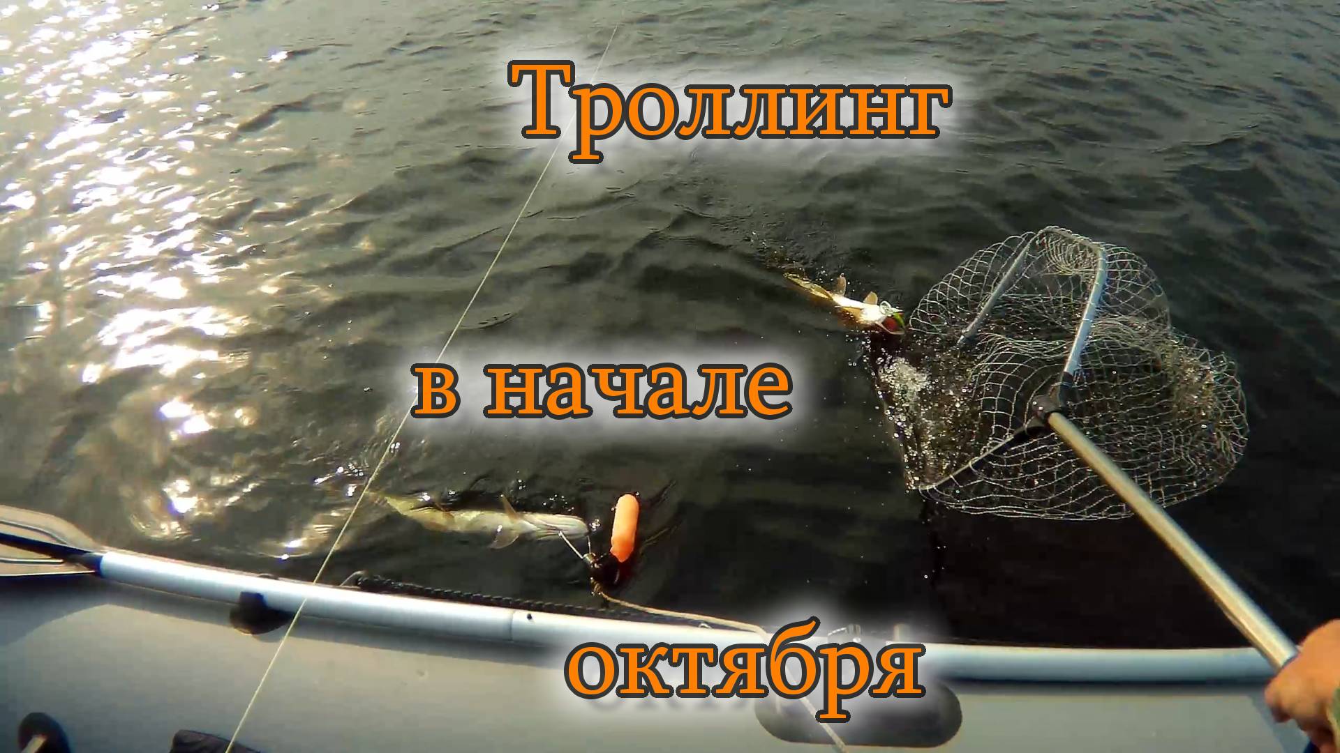 Троллинг в начале октября