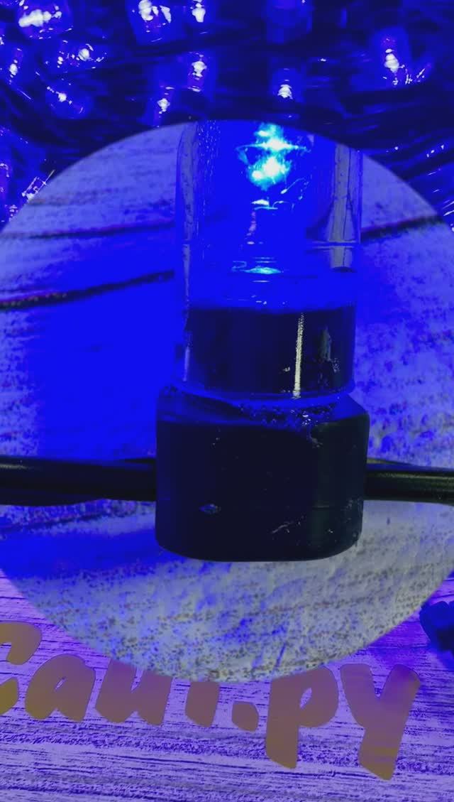 Гирлянда Клип Лайт 100м., 666 синих диодов статика, 12V, зеленый провод, IP65