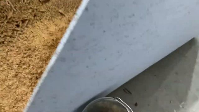 Испытание Экструдера «Экспро М» Био на сырье заказчика!