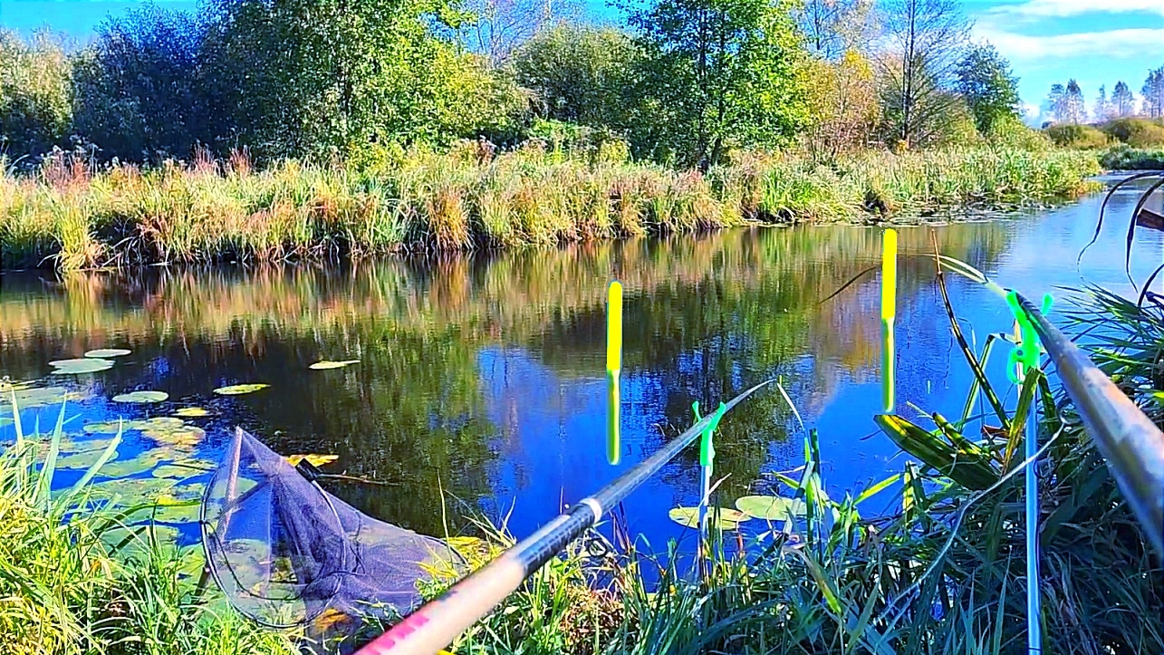 ЛОВЛЯ на ПОПЛАВОК осеннего КАРАСЯ!!!