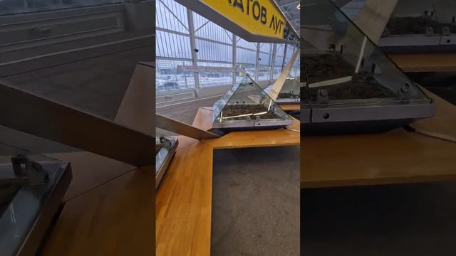 Moscow Metro FUN FACT #travellingwithrussell