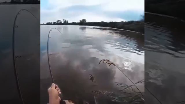Такого поймать, а ещё заснять, один шанс в жизни да и то не каждому.💪🏻