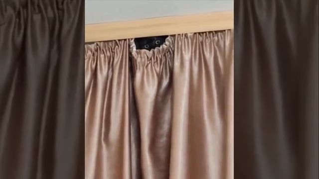 Проверьте перед сном: за вами следят?