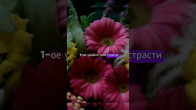 Найти себя. Обрети душевный покой. успех, цели, саморазвитие, уверенность,  1 часть