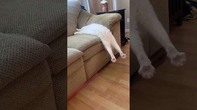 Делайте так и позвоночник болеть не будет