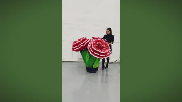 Надувные цветы гвоздики на День Победы💐 Оформление городских праздников