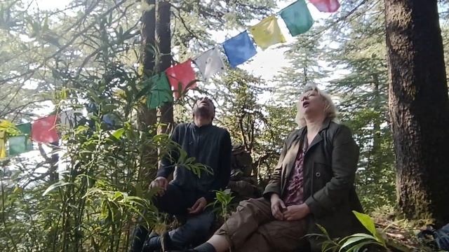 Strowbass - in and out